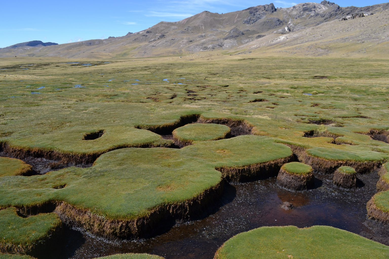 Researching the seasonality and fragility of the ecosystems of the ...